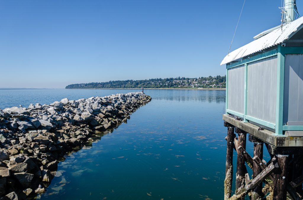 White Rock Homes - Kpenner Construction